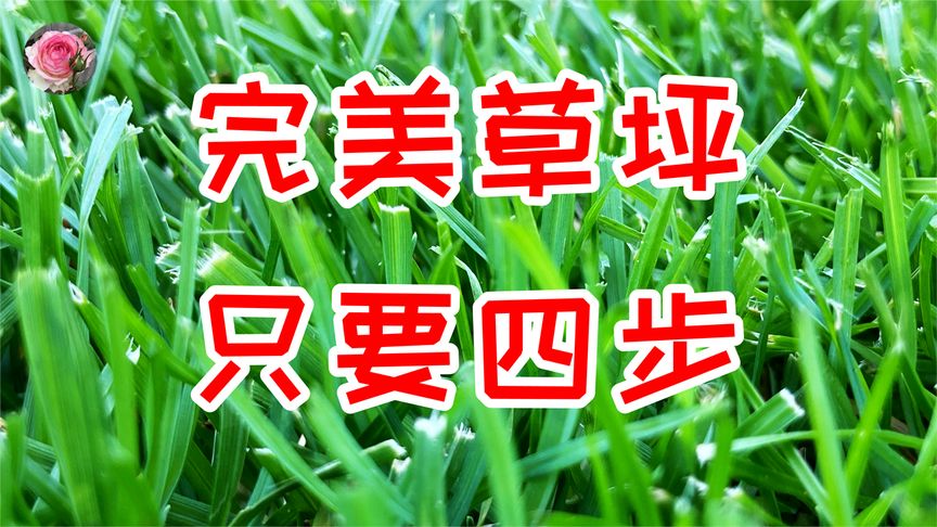 春季草坪护理四部曲 | 做好春季草坪的基础养护,收获一片绿色地毯