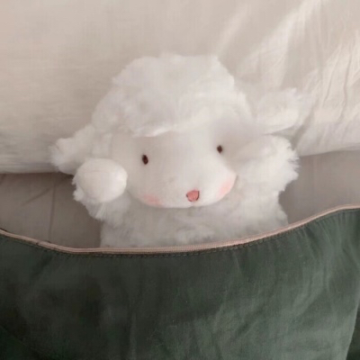 小小萌萌盼 