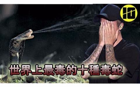 【世界十大】动物- 世界上最毒的十种毒蛇,你所认识的眼镜蛇竟然仅...