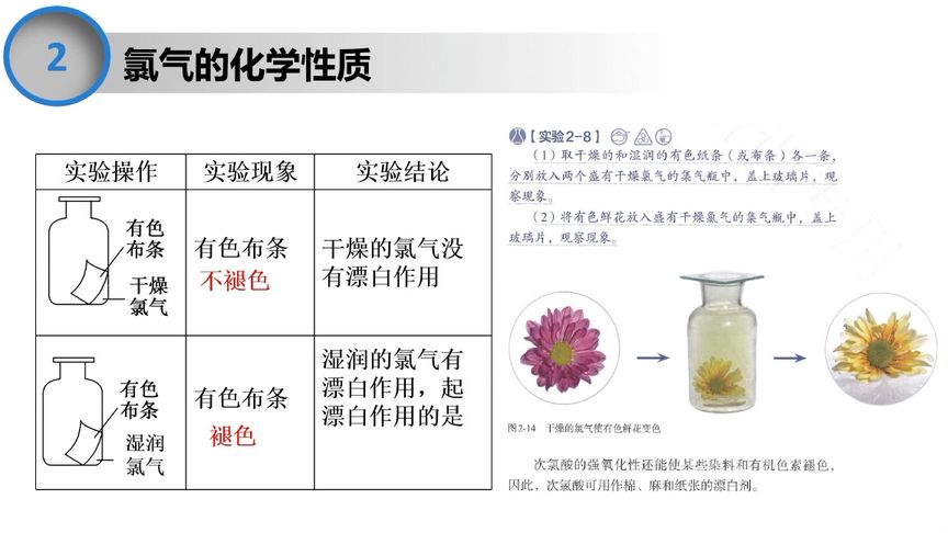 有毒的氯气,泄露了怎么办?高中化学老师带你一起学习氯气!
