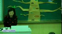 浙美版小学二年级美术上册13 小鸟的家-杨老师优质课视频(配课件教案)