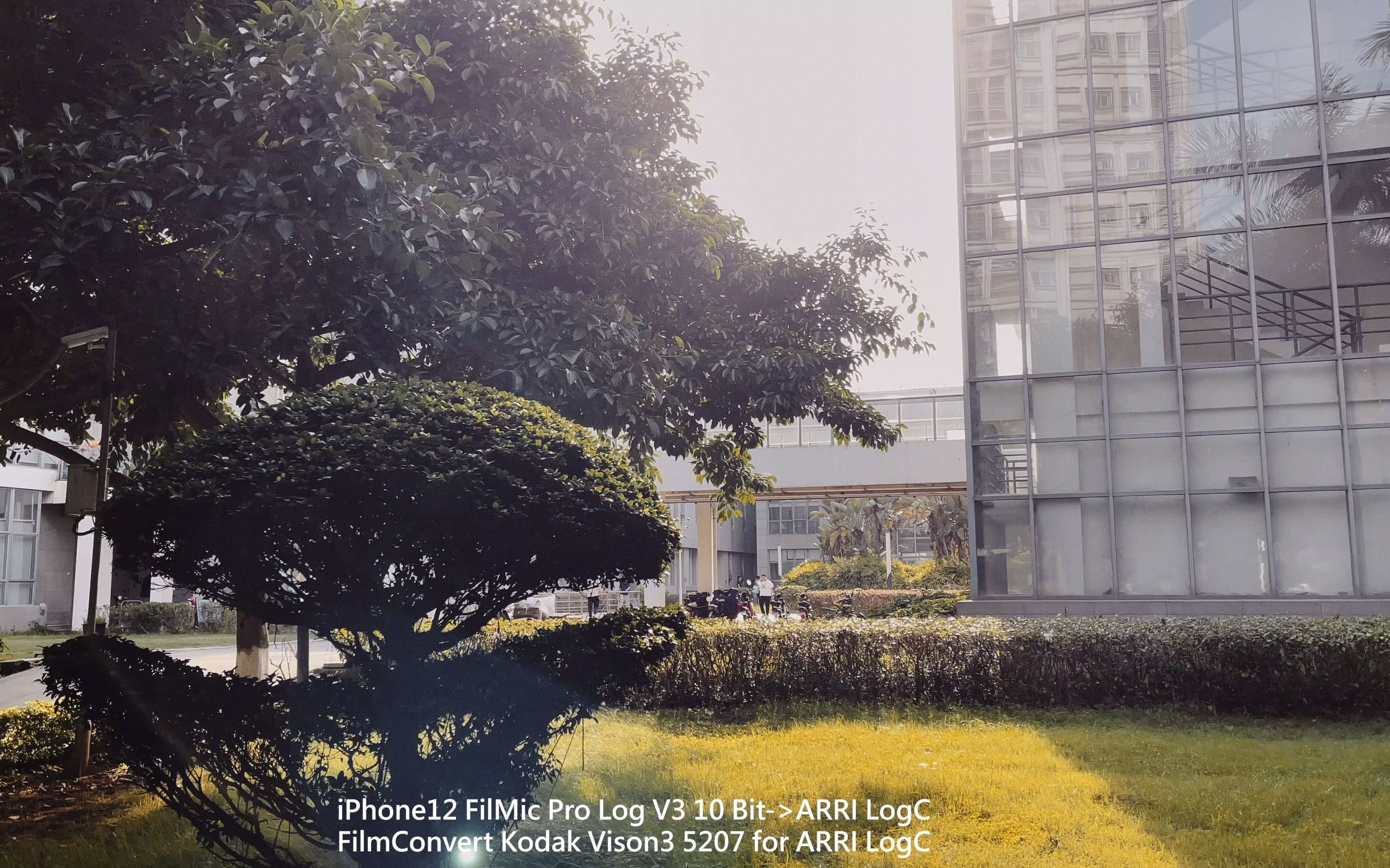 ...ProLogV3(10Bit)+Filmconvert+配合ARRILogC转换/HLG/杜比视界
