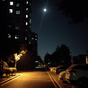 Electrical赵峰 
