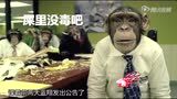  端游移植不失所望《神武》评测