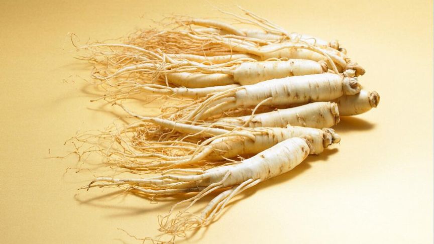 你真的了解人参的功效和作用吗?