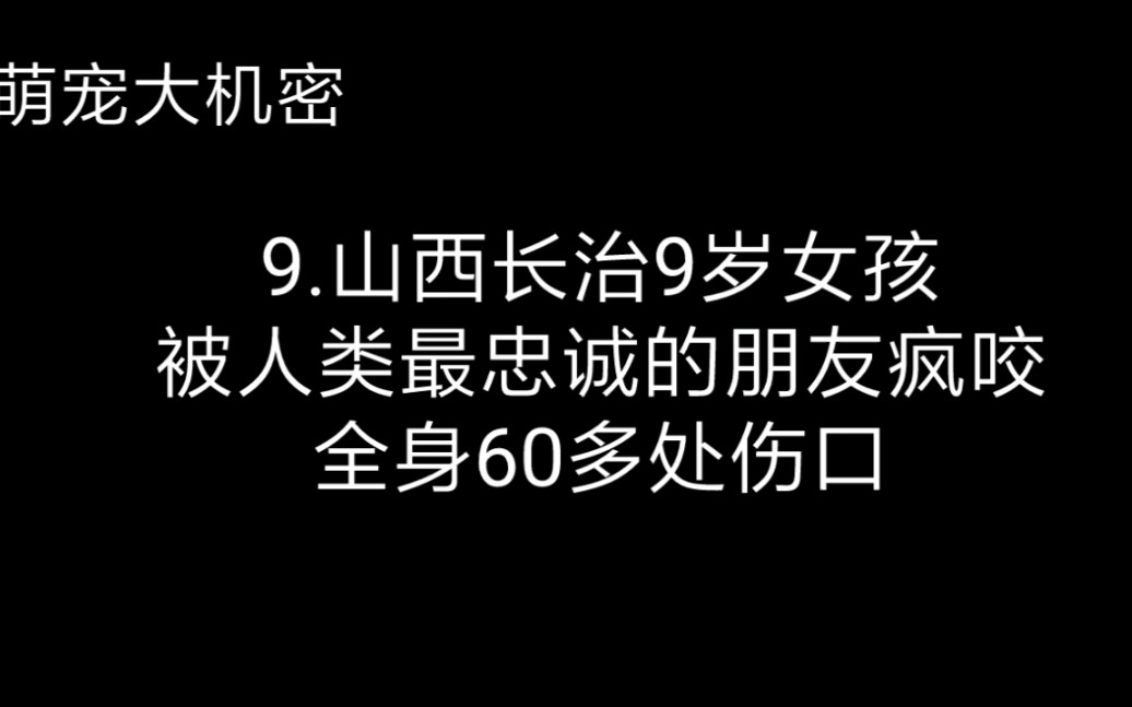 呆萌的狗狗疯狂咬死咬伤9岁男孩女孩,吃肉喝血!20例狗咬儿童的案例...