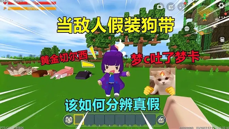 迷你世界:当敌人假装狗带!该如何分辨真假?我用梦C吐了梦卡