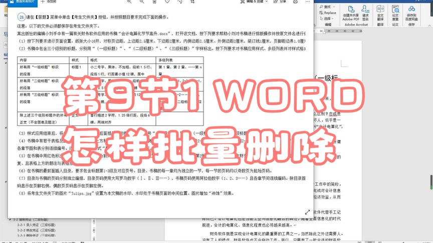 第9节1 WORD 怎样批量删除