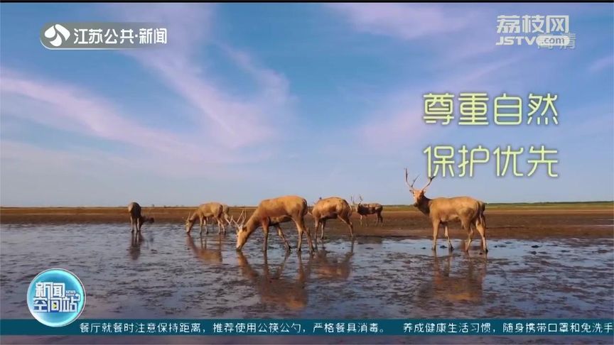 国际生物多样性日:一个短片告诉你大自然里的生物有多治愈