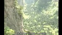 景区介绍·湖南省张家界黄石寨-山东聊城聊之旅国际旅行社