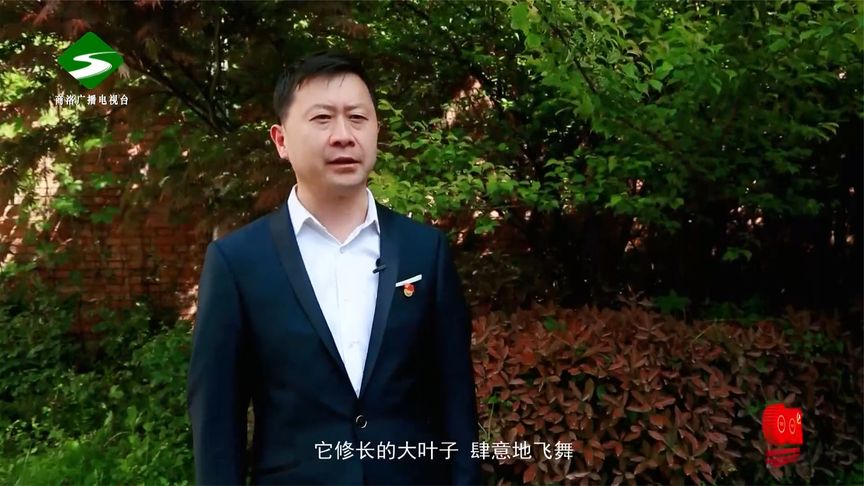 红色经典诵读_《红高粱》