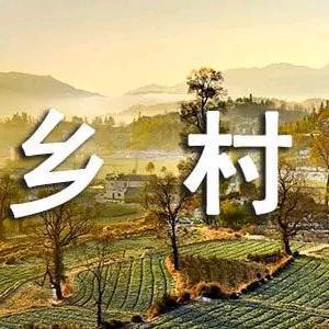 莒地乡村行 