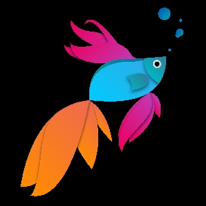 陈宪鹏Canary 