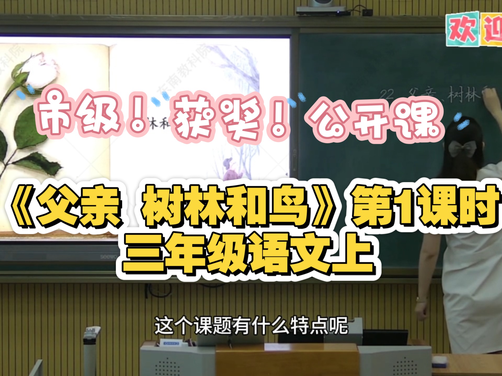 《父亲树林和鸟》(三年级)设计优质公开课示范课+教学阐述,新课标...