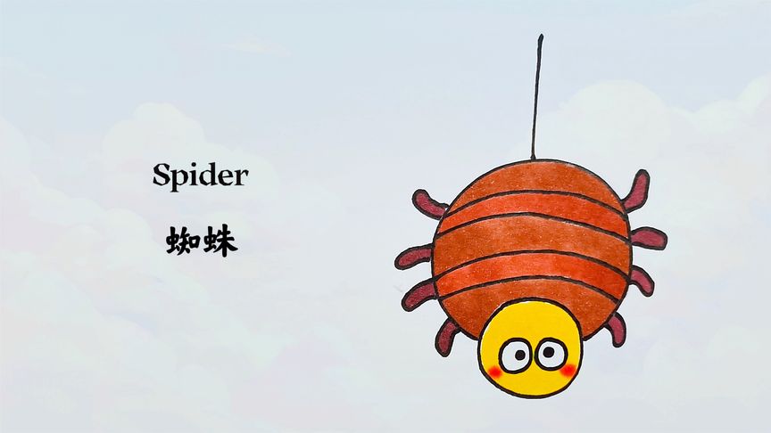 蜘蛛不属于昆虫?如何画出可爱的小动物图片,精选儿童简笔画手绘
