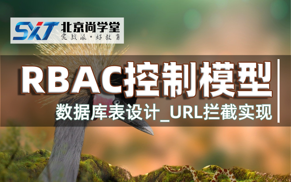 ...师之RBAC权限控制视频_JAVAEE学习-基于RBAC的数据库表设计