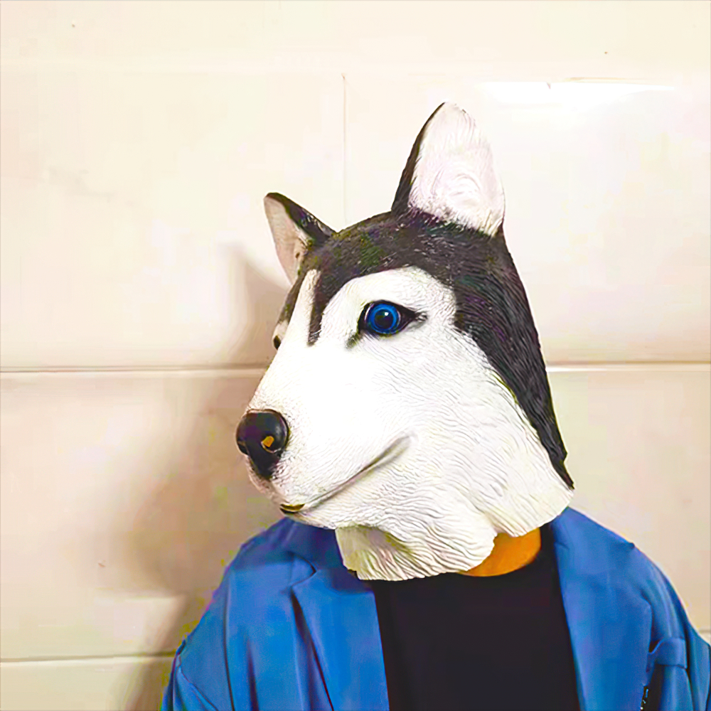 二哈扯剧 