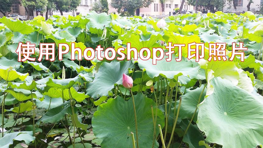 如何使用Photoshop打印照片?怎么设置图片分辨率高清打印?
