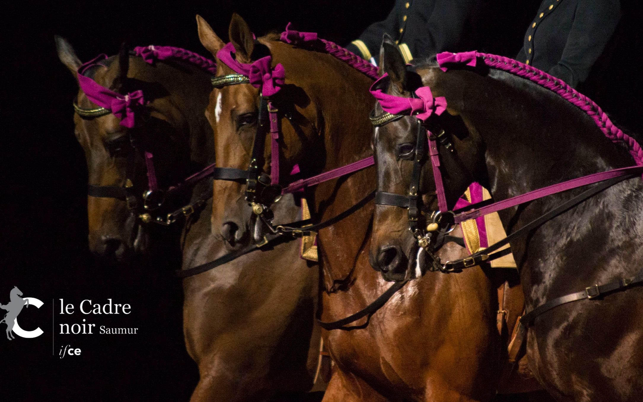 新年快乐!语马邀请您一同观赏法国黑骑士马术学院 (Cadre noir de ...