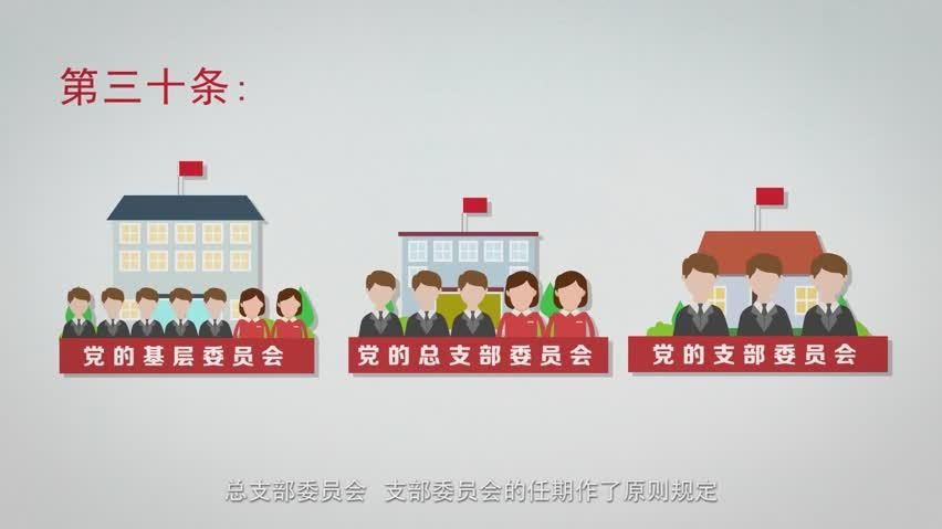 《党章知识选粹》第25集:党的基层组织的任期