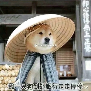 电磁重接炮