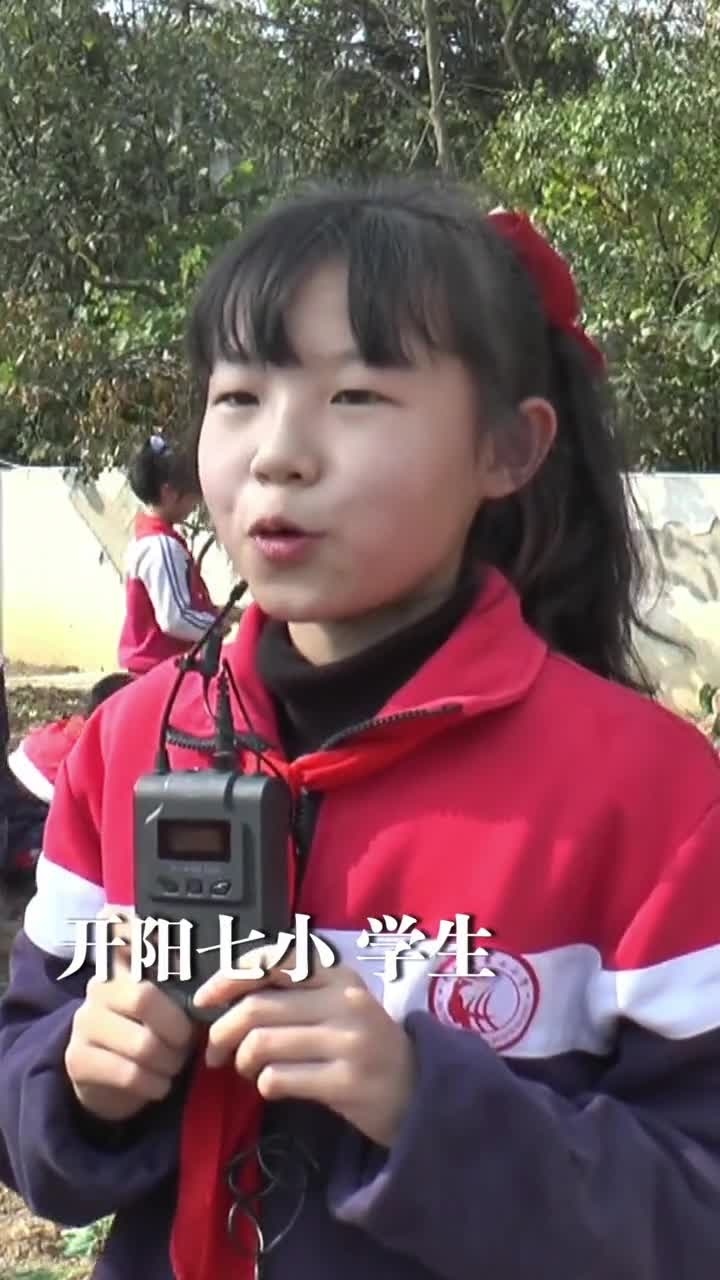 这样的劳动实践课爱不爱!