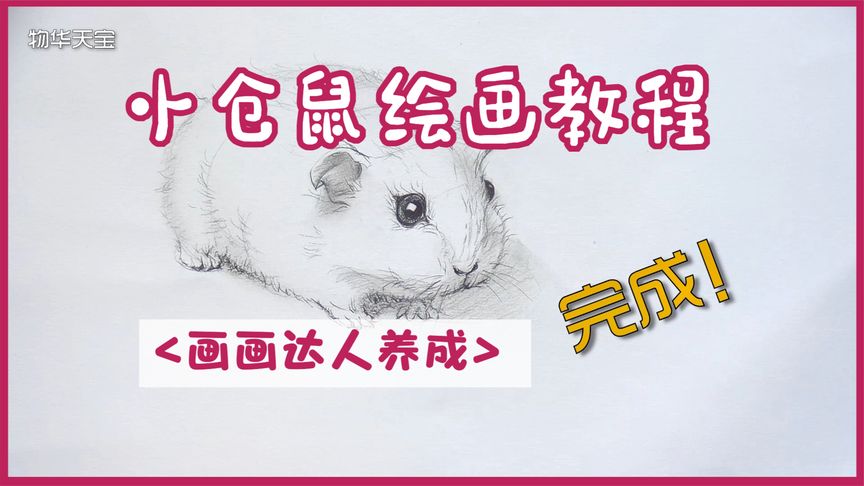 小仓鼠绘画教程-12生肖
