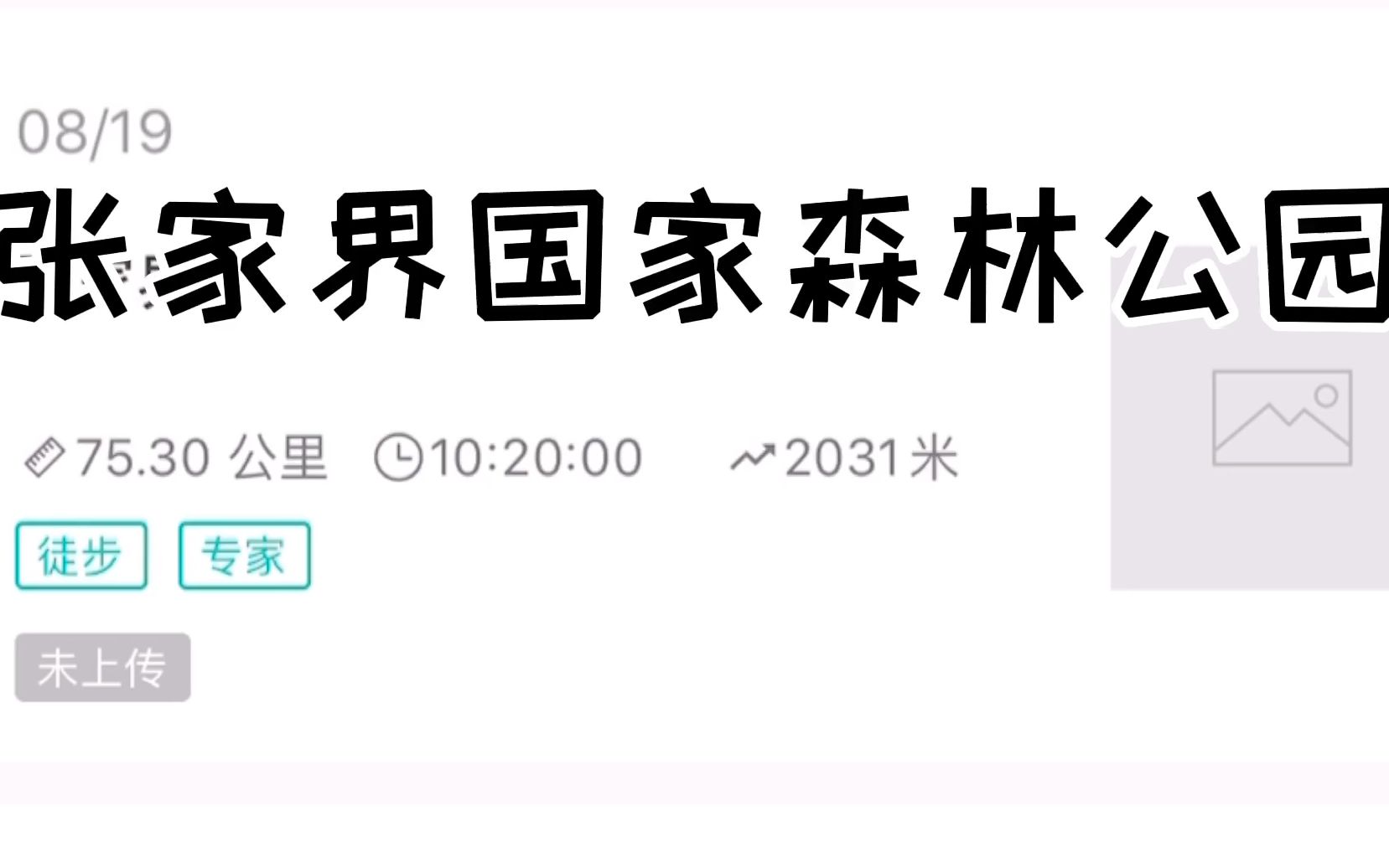 2020/8 张家界 国家森林公园