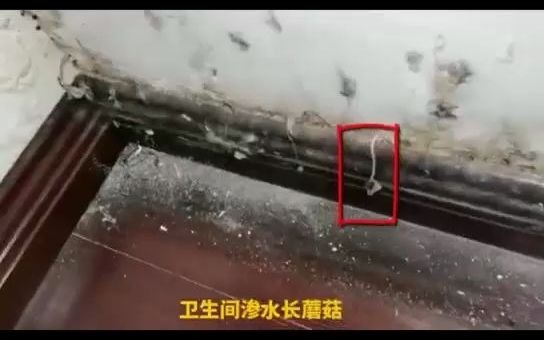 天呐!家里卫生间漏水了!您家是否也遇到了这样的问题!看看如何处理的...