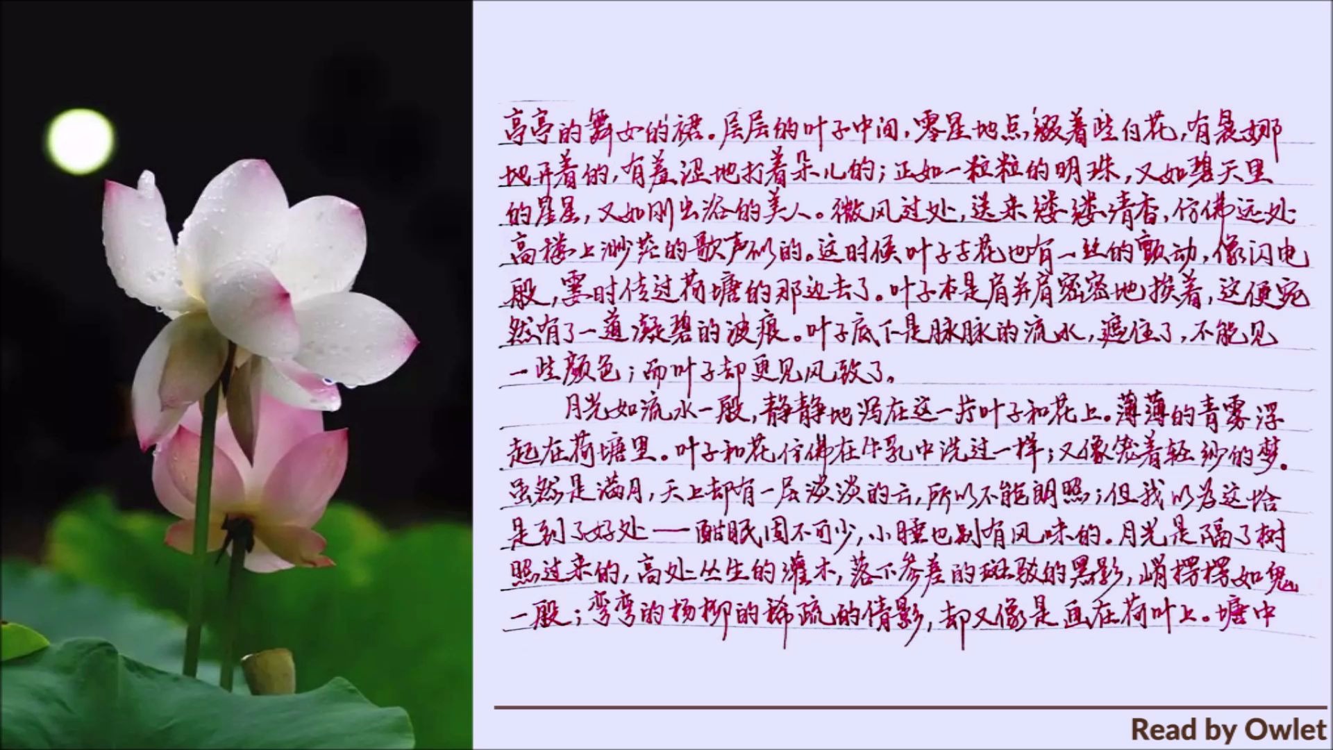 荷塘月色(朱自清 原文)