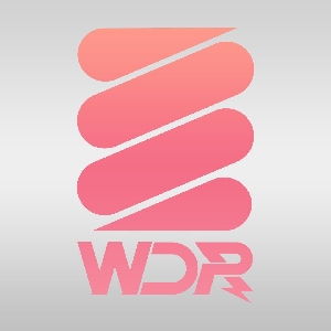 合工大WDR机器人实验室 