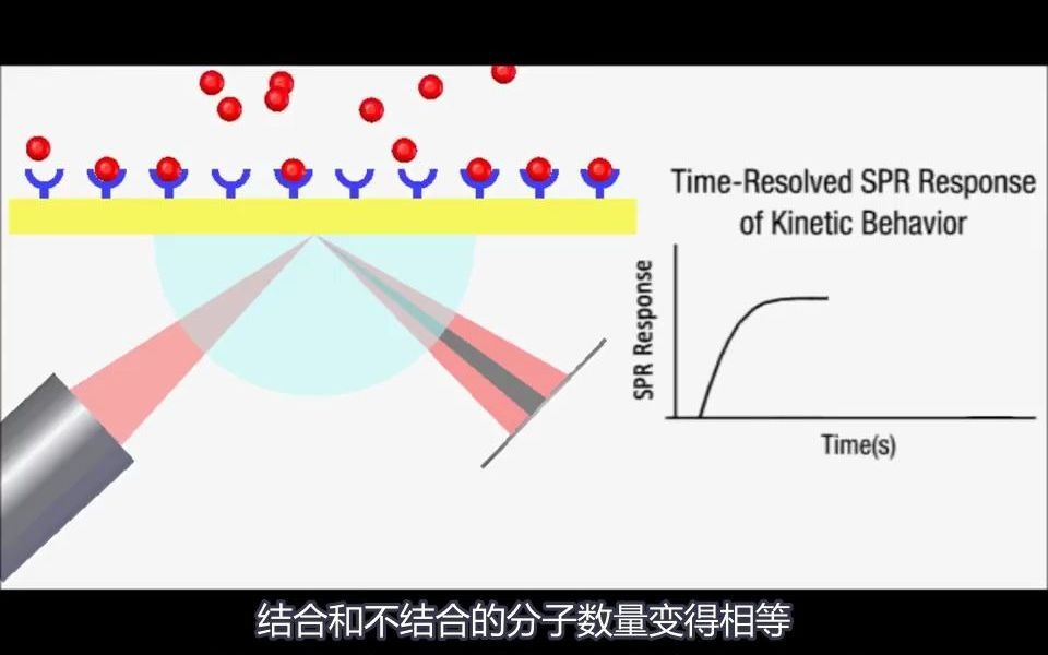【中英双字】表面等离子共振技术 SPR介绍 (Surface Plasmon ...