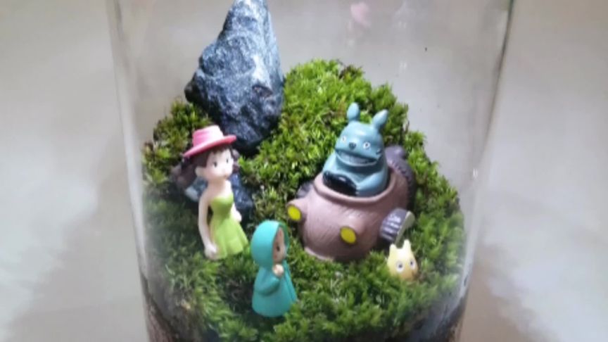 陶语手工生态瓶#微景观 #手工diy #微景观制作 #景观设计