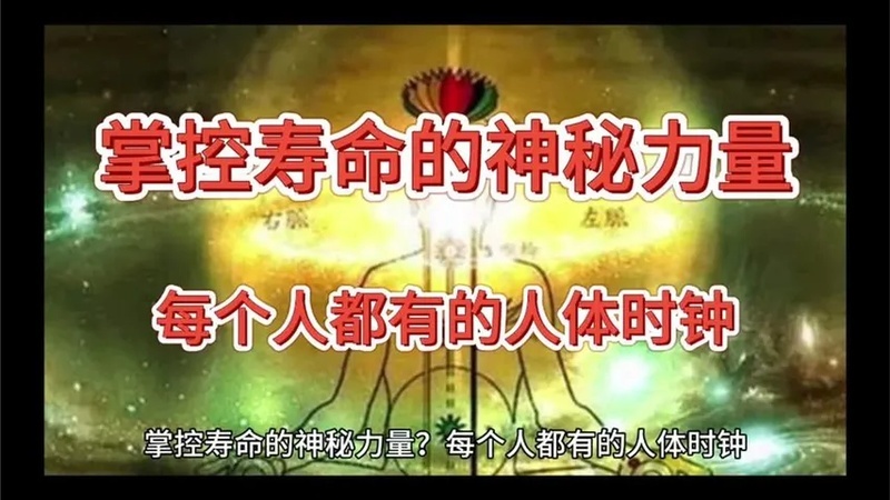 掌控寿命的神秘力量,每个人都有的人体时钟