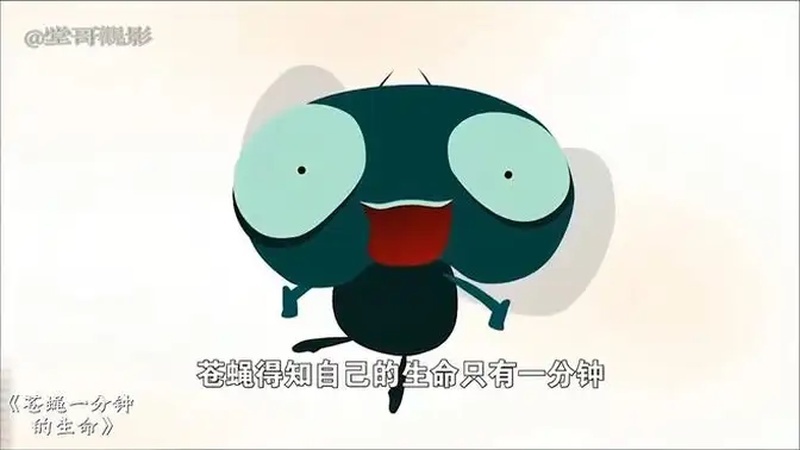一部奥斯卡获奖短片《苍蝇一分钟的生命》真正诠释了生命的意义
