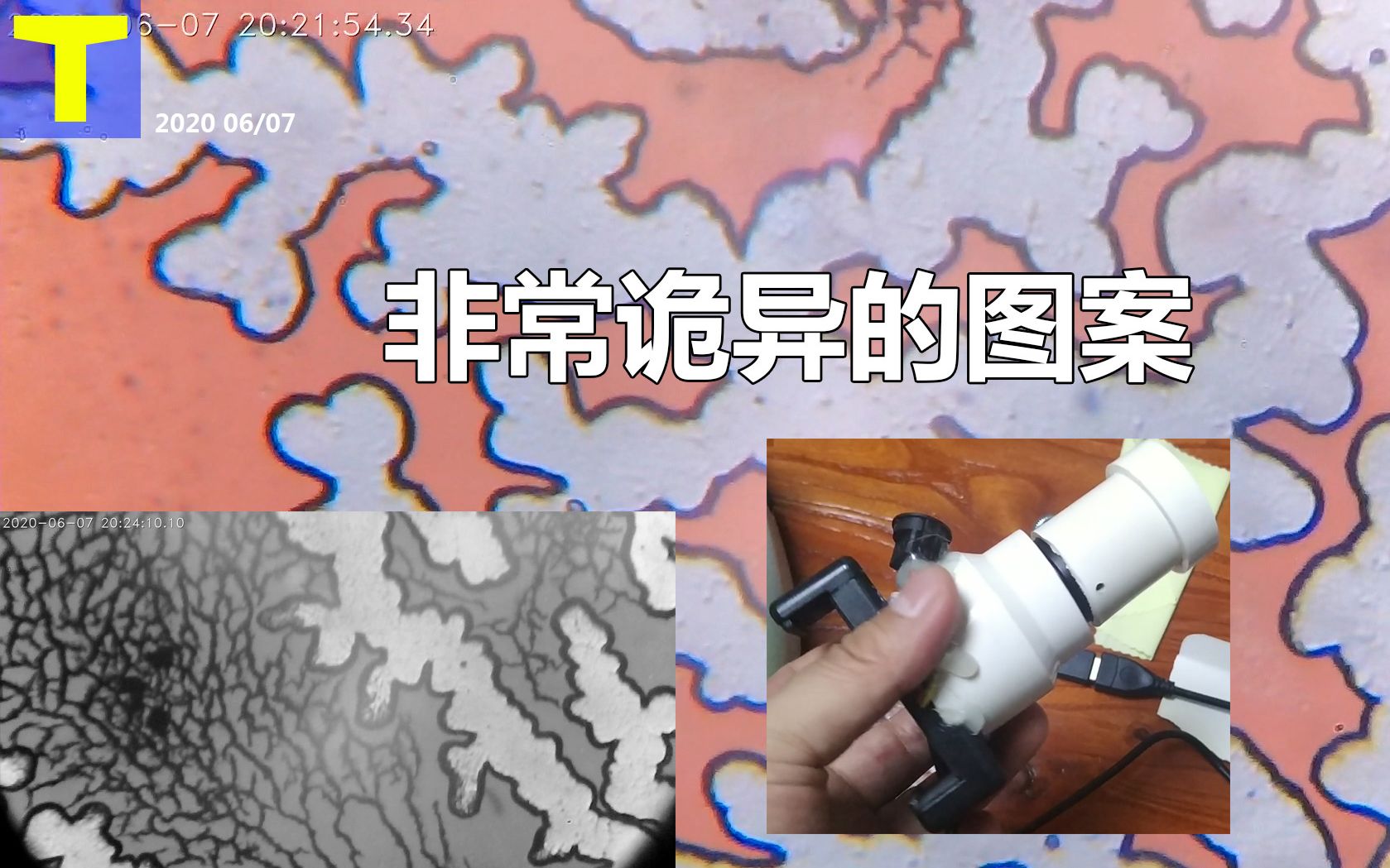 ...06 07 用红外模式看显微镜下的画面,下次再试试装在天文望远镜上