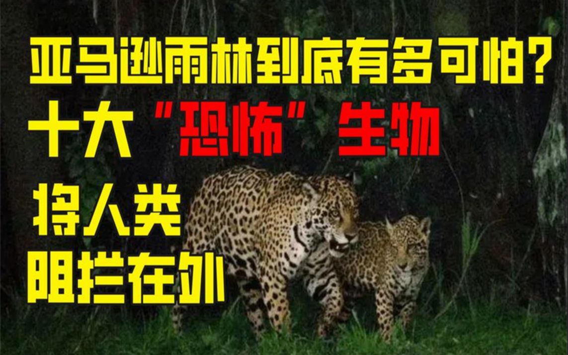 亚马逊雨林到底有多可怕?十大“恐怖”生物将人类阻拦在外