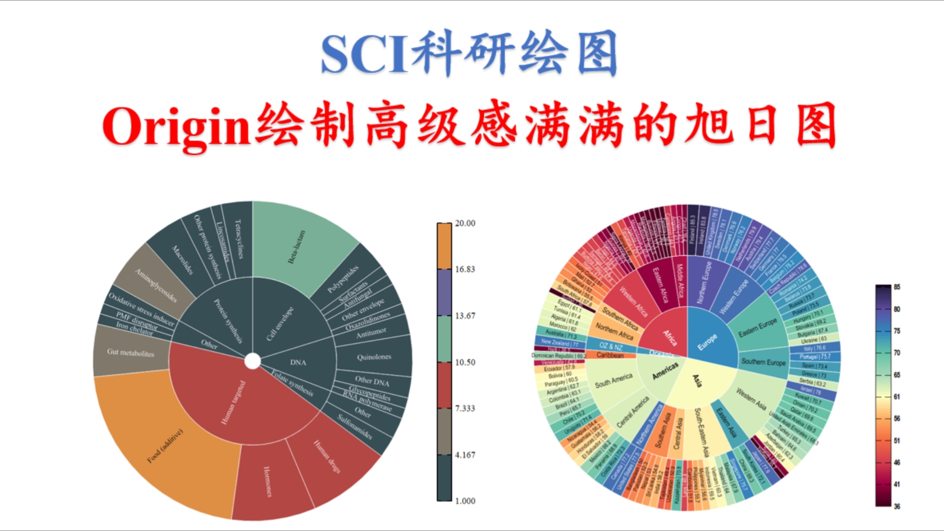 Origin绘制高级感满满的旭日图