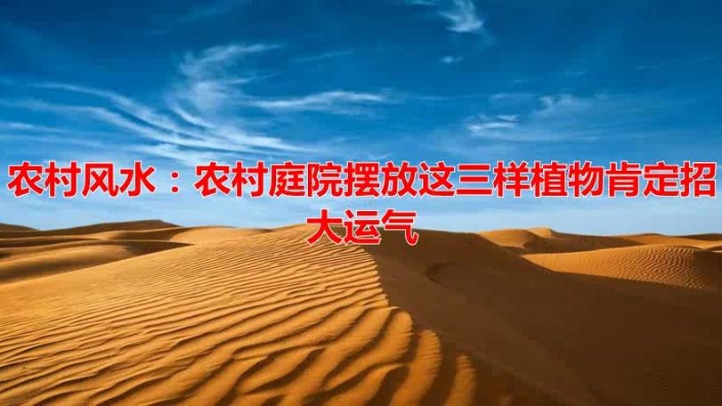 农村风水:农村庭院摆放这三样植物,肯定招大运气
