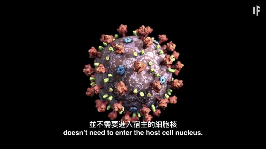 新冠病毒会对你的身体造成什么危害,快进来看看