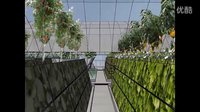 2000平方米屋顶都市农业复合耕作模式