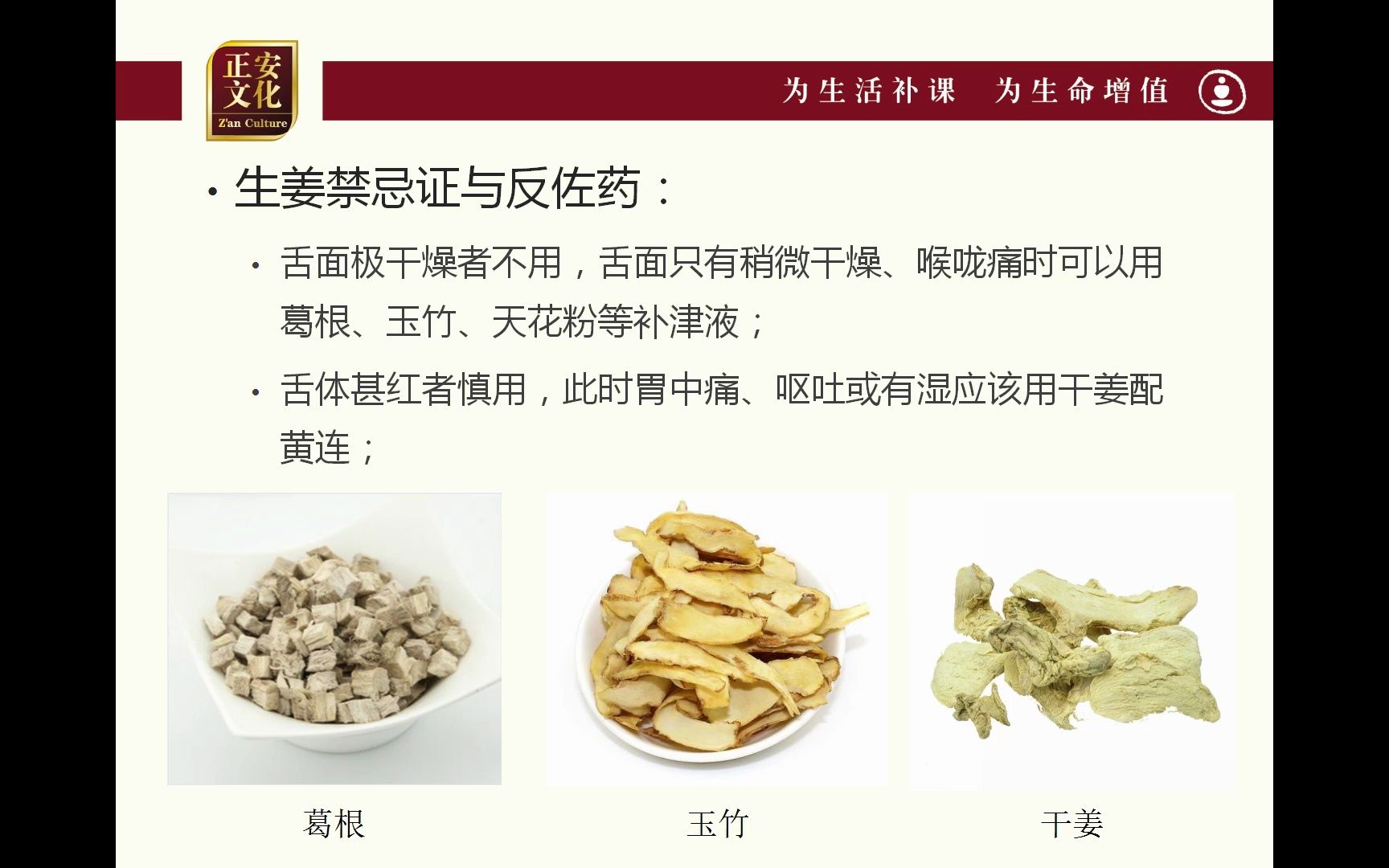 倪海厦老师弟子施合一经方药证学 4 解表药 03 生姜3