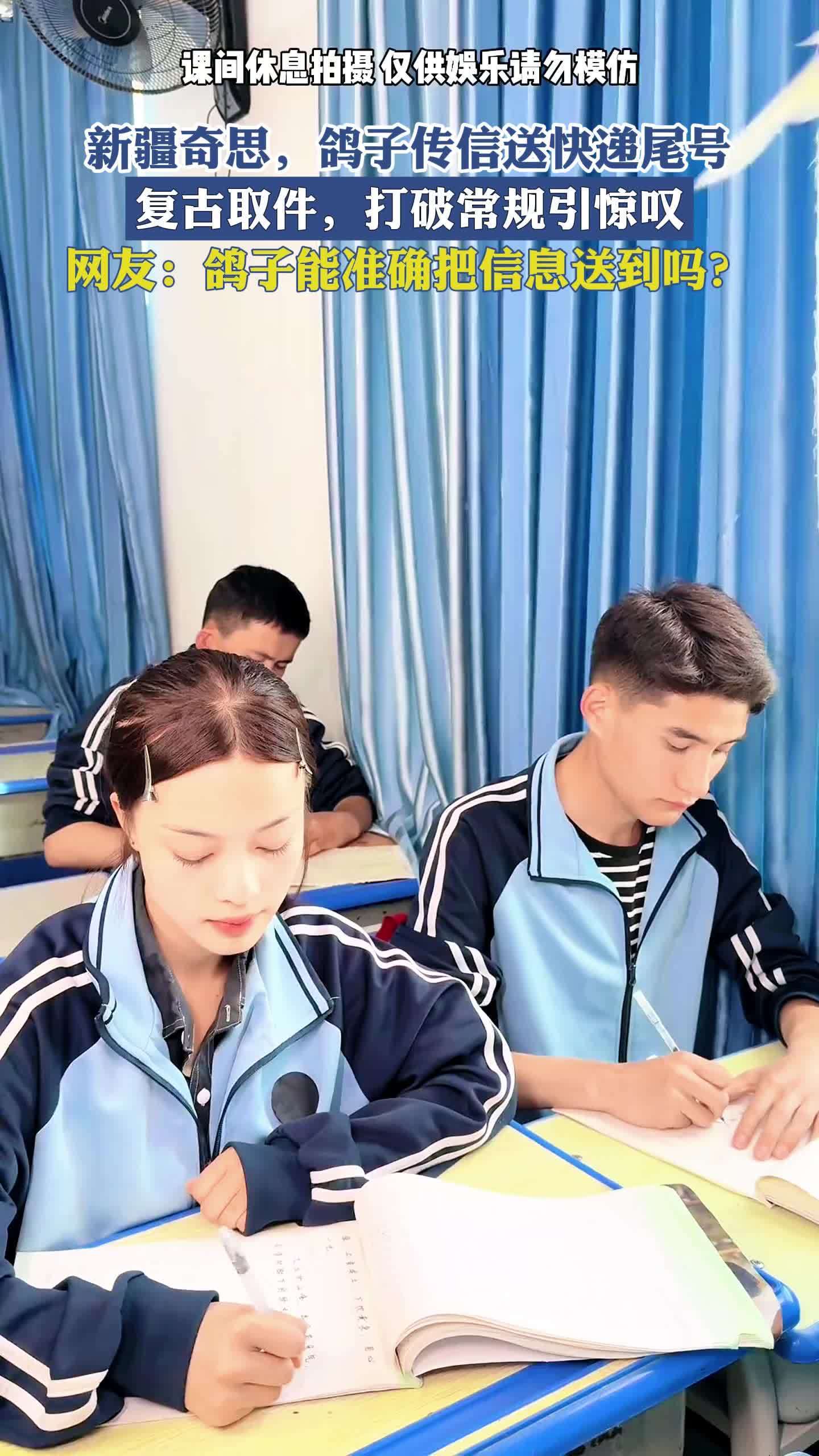 新疆奇思,鸽子传信送快递尾号,复古取件,打破常规引惊叹!