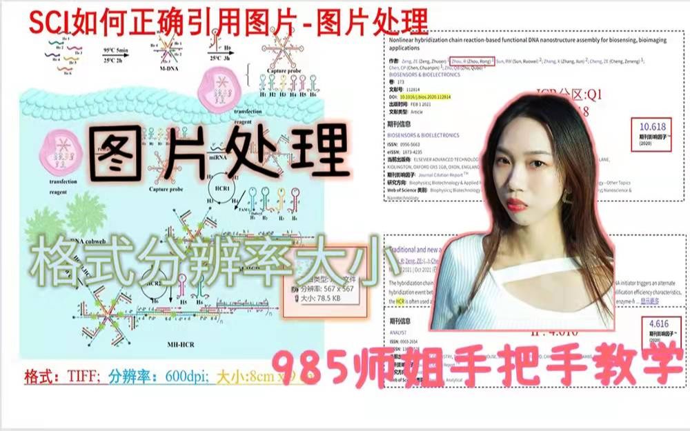 985师姐教你怎么SCI引用图片-处理图片(格式、分辨率、大小)