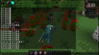 ★我的世界★Minecraft.斗地鼠MC的海贼王模组介绍