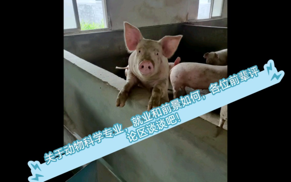 动物科学到底怎么样呢?