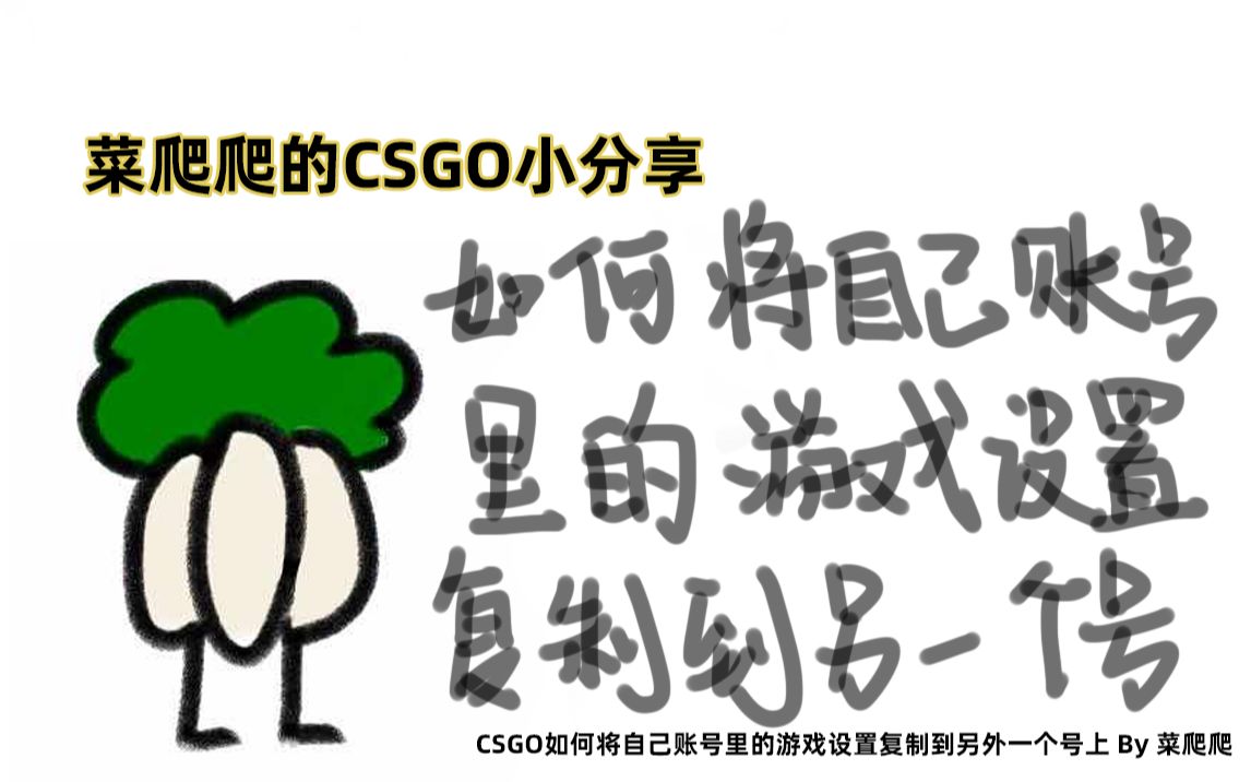 【分享】CSGO如何将自己账号里的游戏设置复制到另外一个号上 By ...