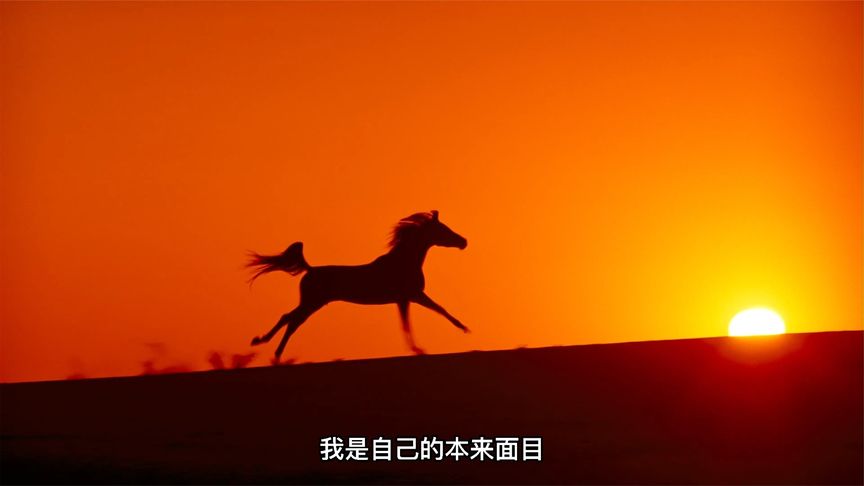 禅宗修行解决的第一件事就是小我