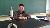 用显微镜观察根尖的永久纵切片并指出各部分结构