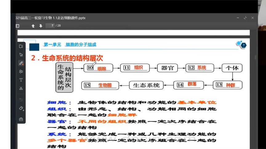 高中生物一轮复习必修一)——生命系统结构层次